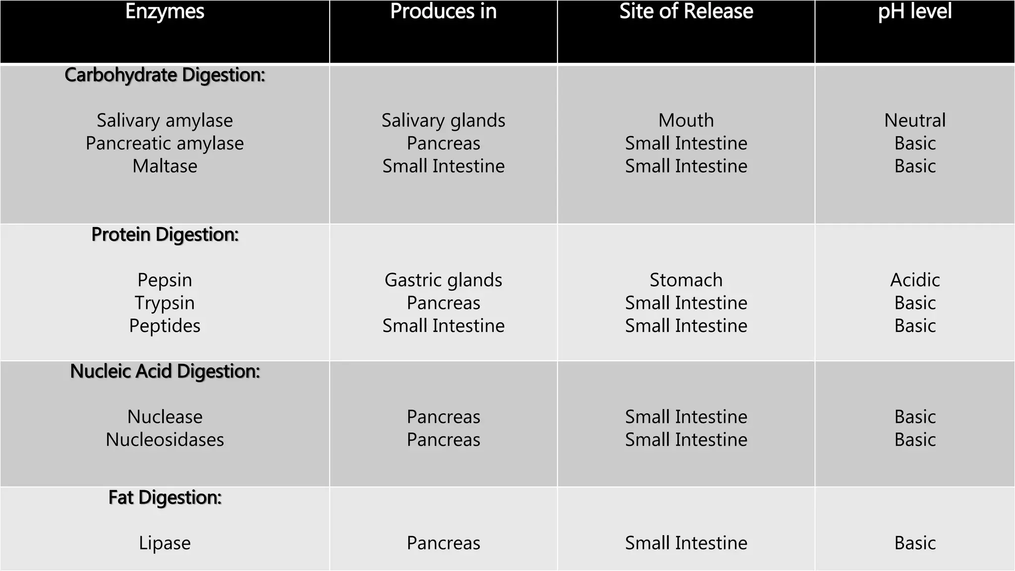 The Digestive System (Chemical Digestion) | PPTX