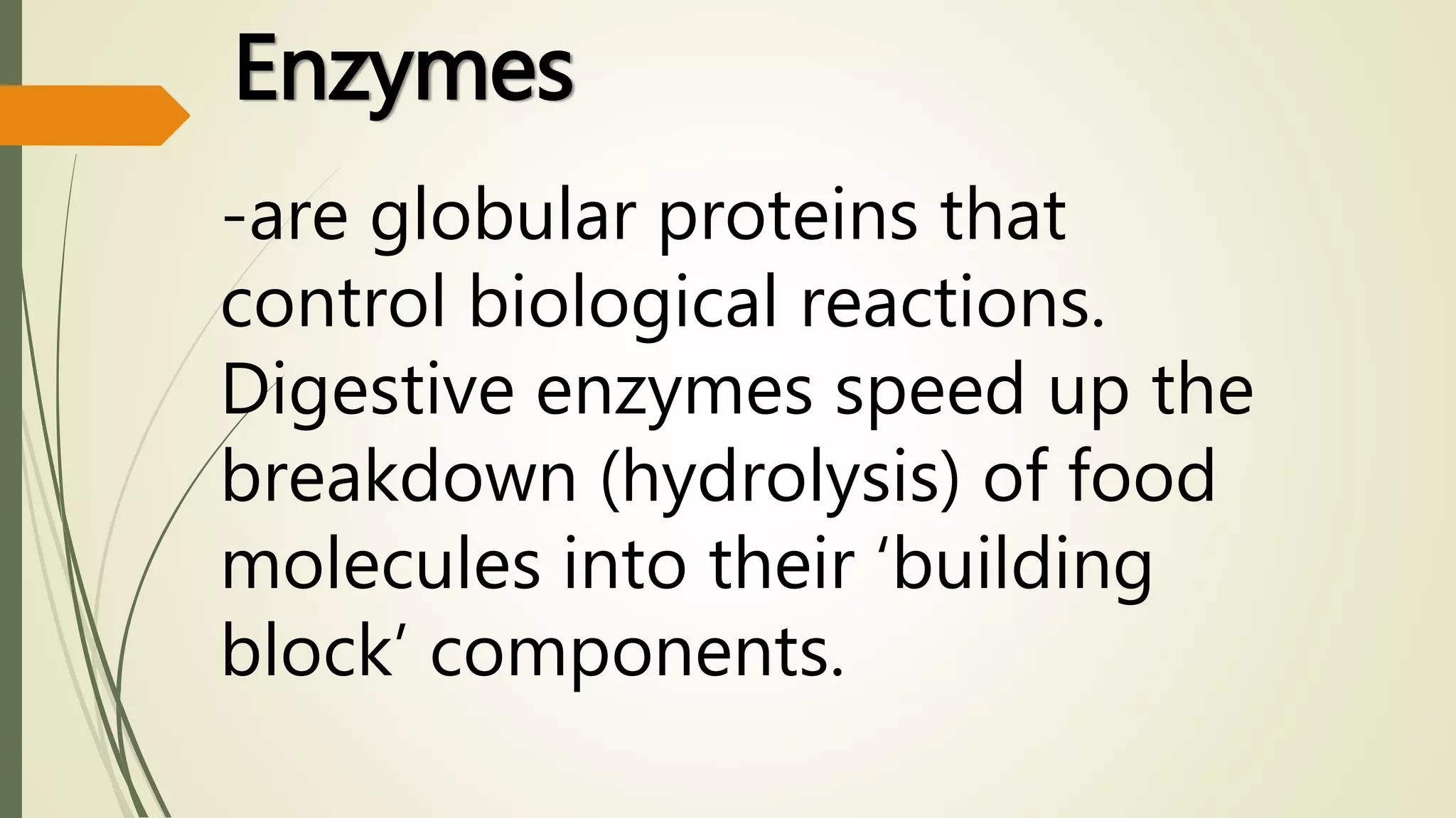 The Digestive System (Chemical Digestion) | PPTX