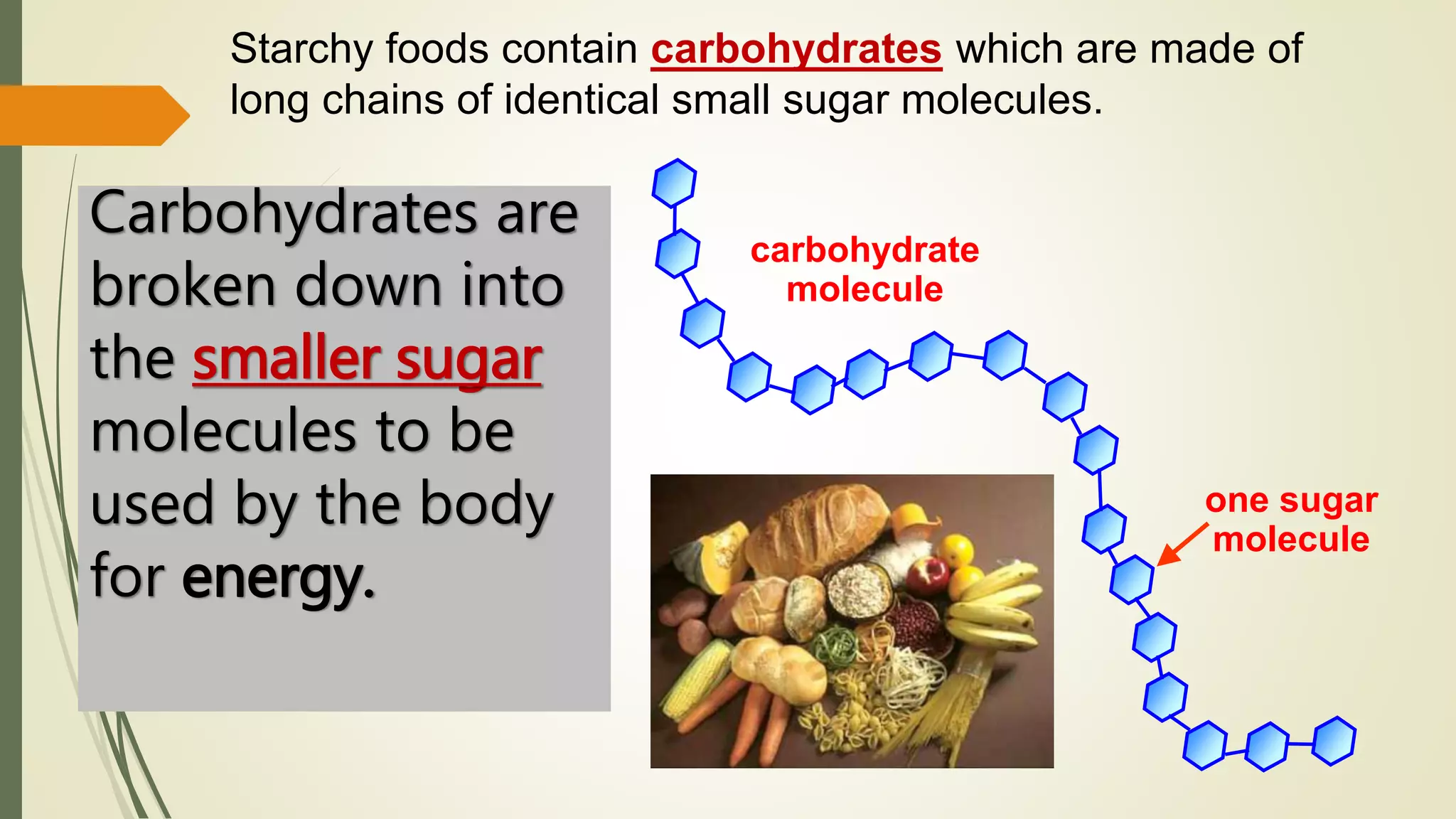 The Digestive System (Chemical Digestion) | PPTX