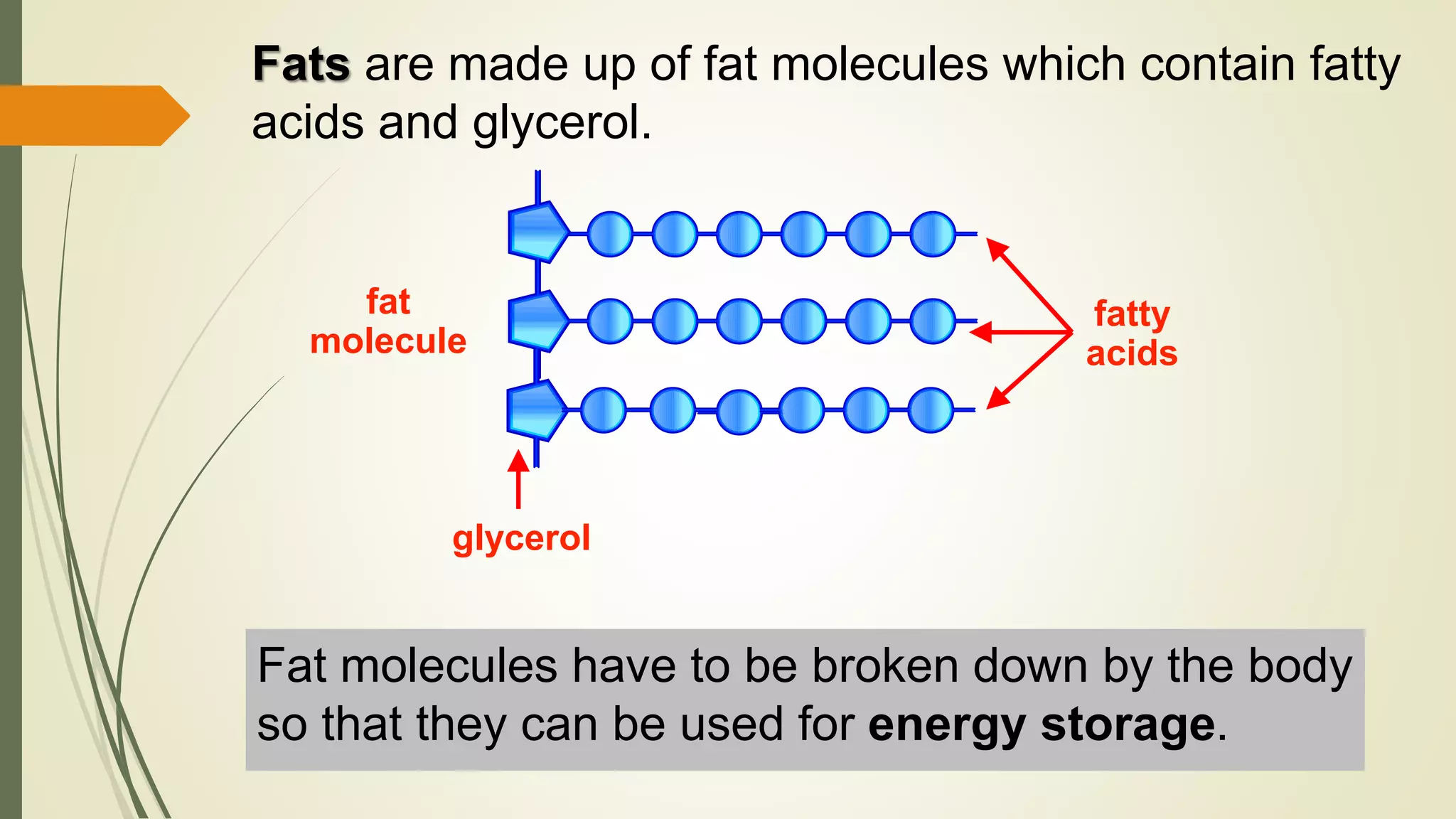 The Digestive System (Chemical Digestion) | PPTX