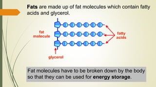 The Digestive System (Chemical Digestion) | PPTX