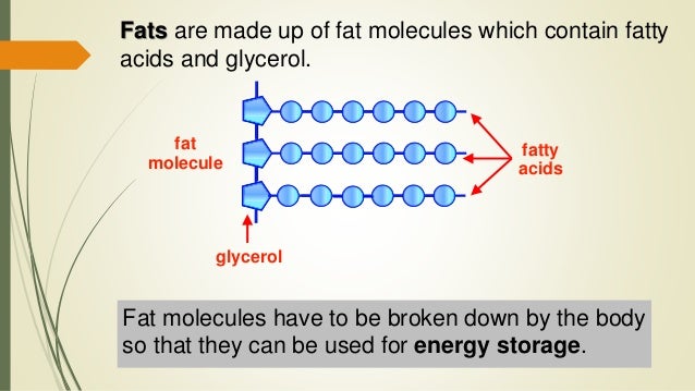 The Digestive System (Chemical Digestion)