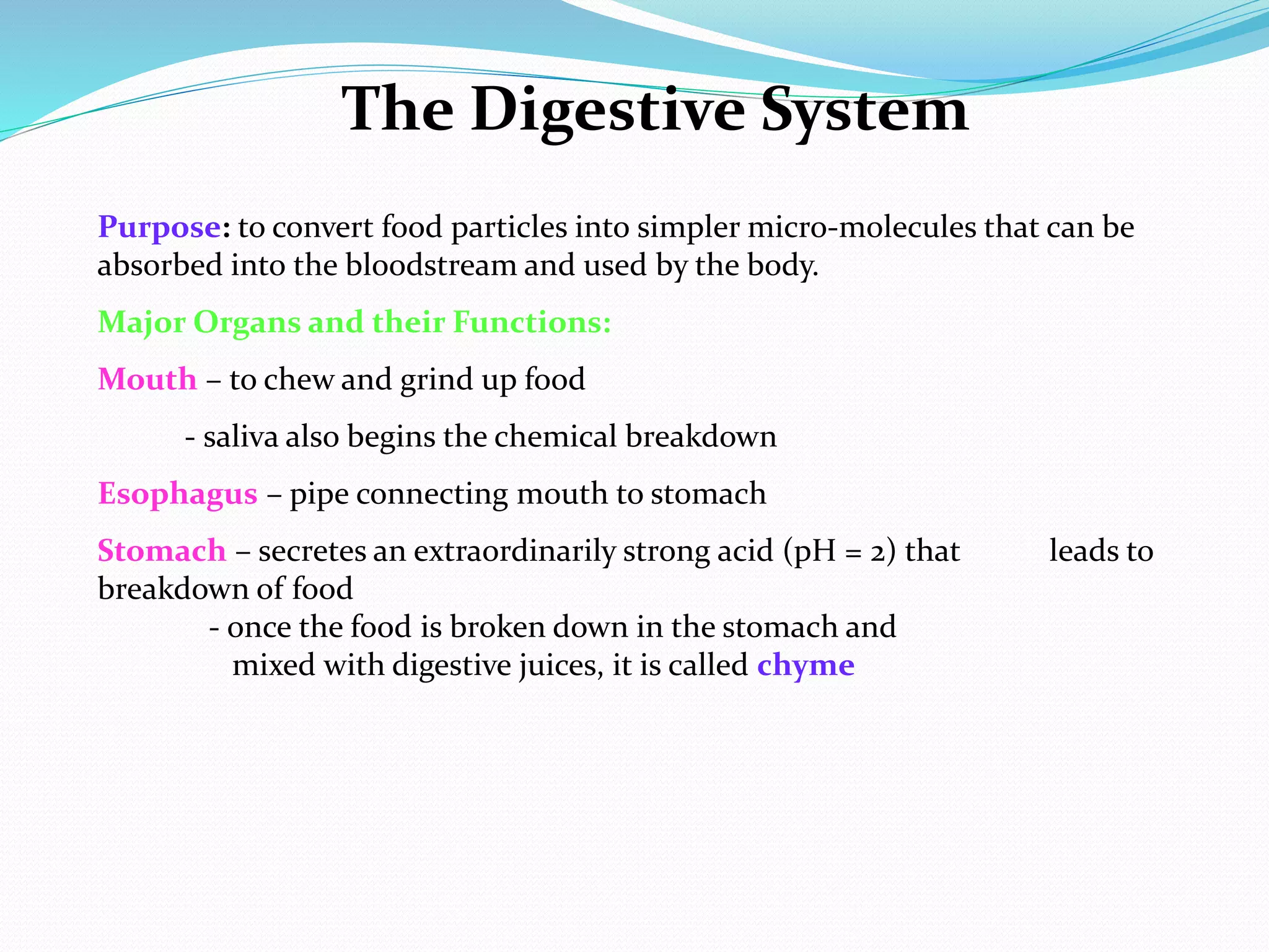 The digestive system intro | PPT