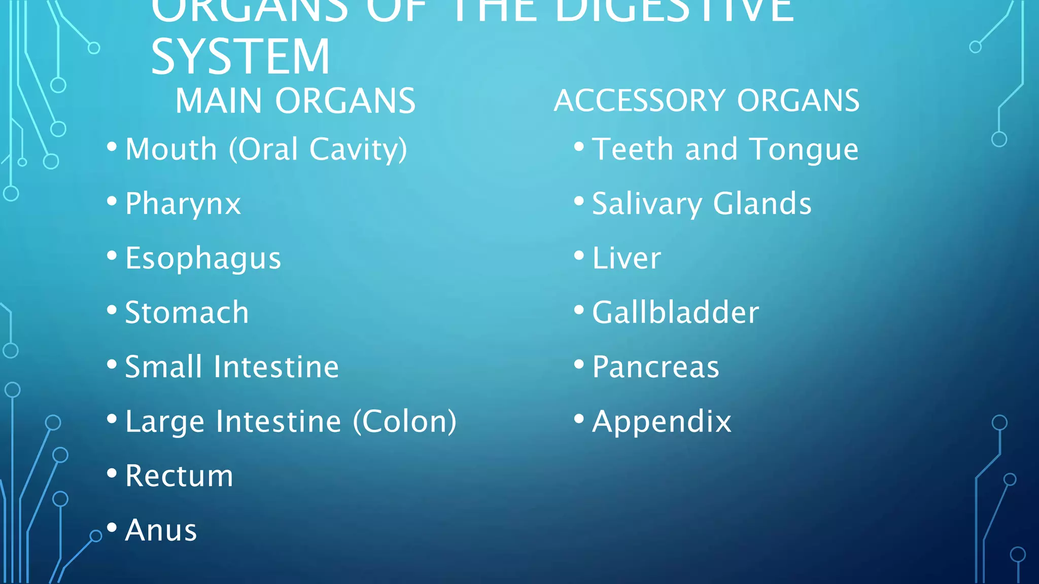 The Digestive System of human being | PPTX
