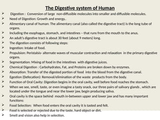 The Digestive system of Human.pptx presentation | PPTX