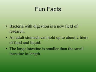 The digestive system | PPTX