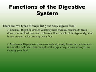 The digestive system | PPTX