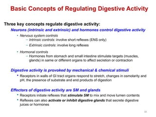 The Digestive System Part I PRESENTATION | PPTX