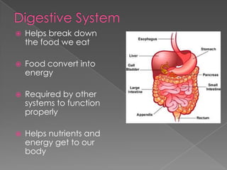 Lara's Digestive system power point | PPTX | Medical Health