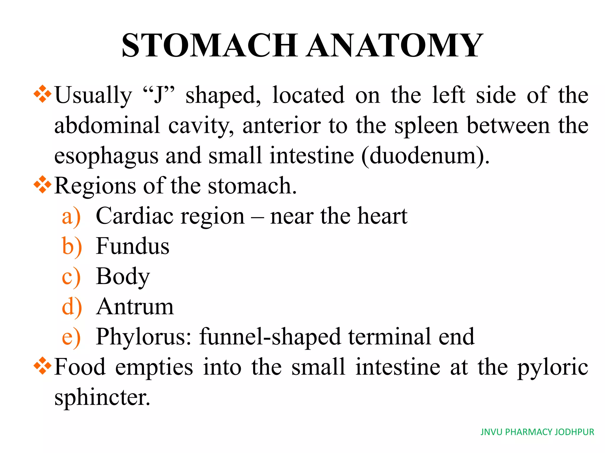 The digestive system ppt | PPTX