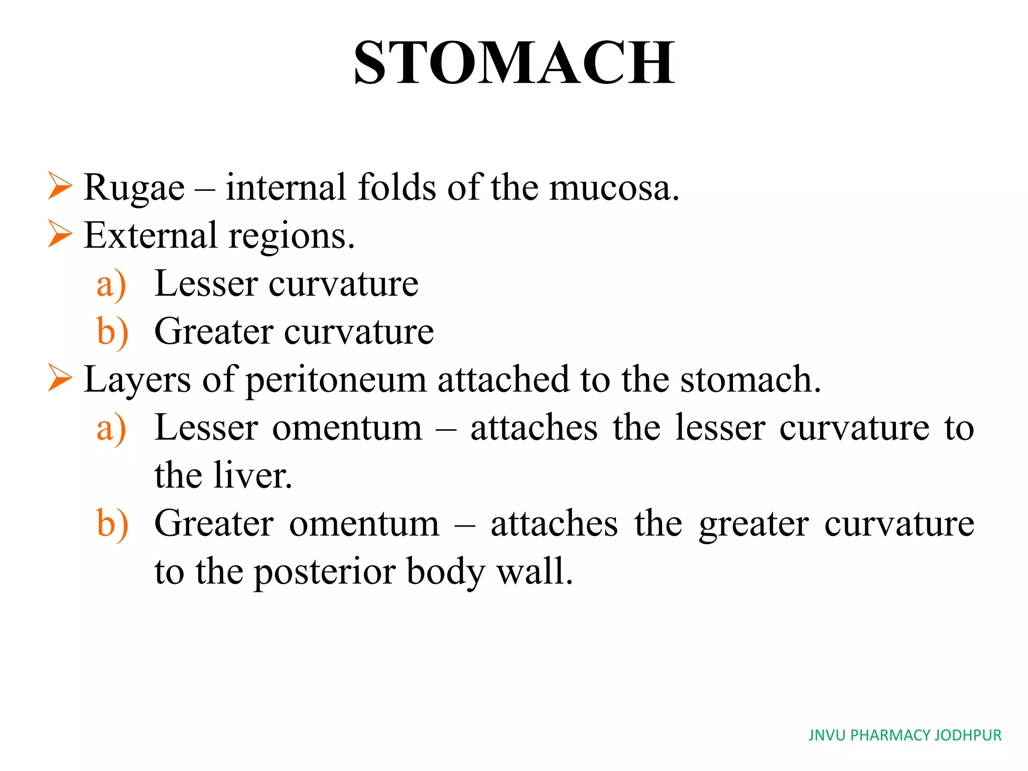 The digestive system ppt | PPTX