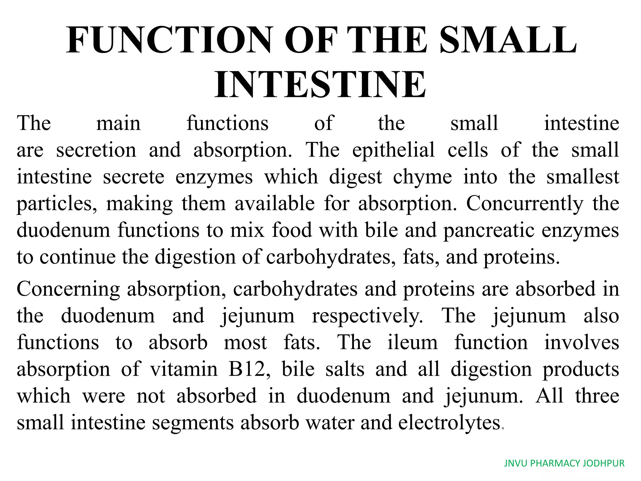The digestive system ppt | PPTX