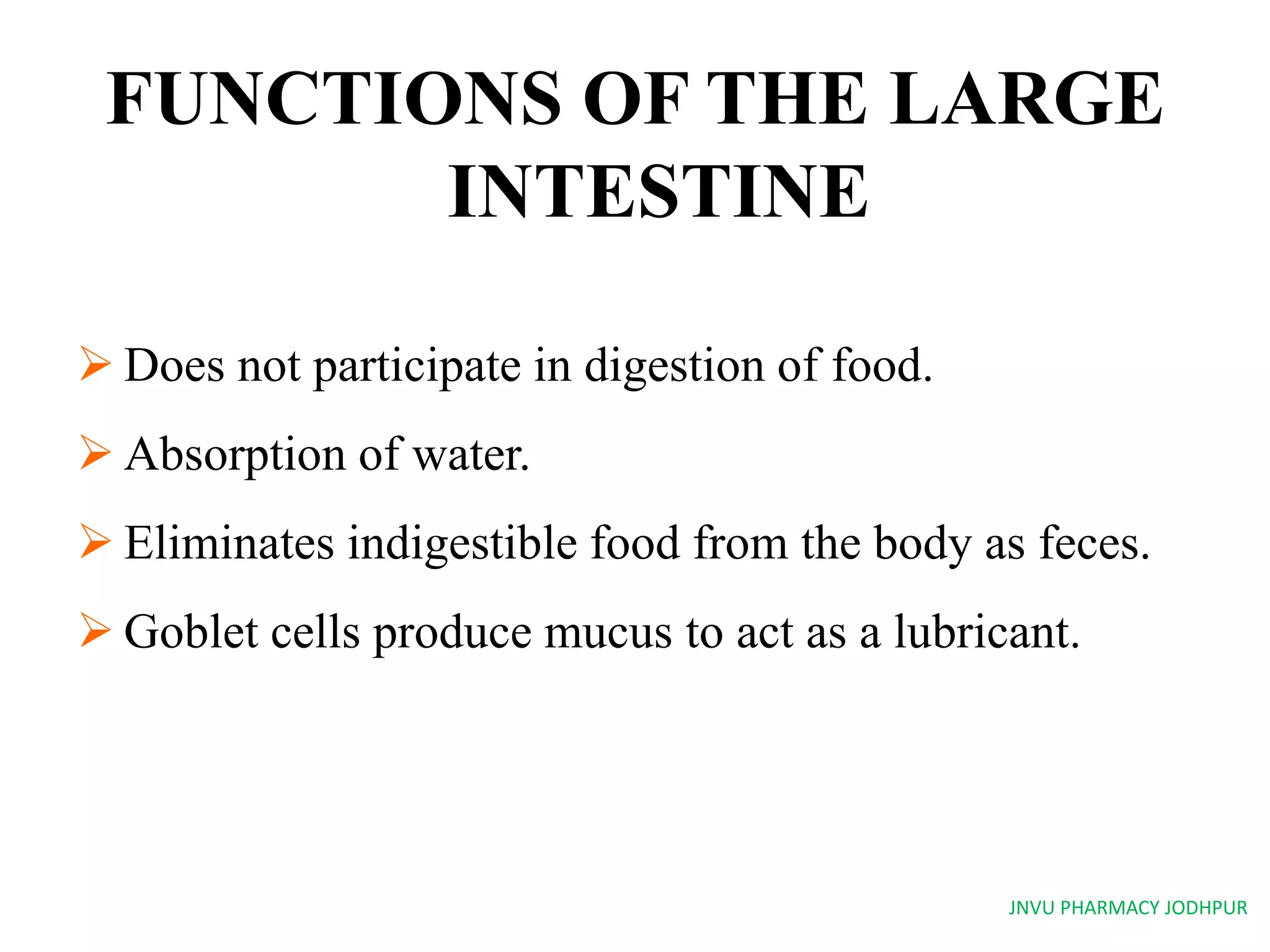 The digestive system ppt | PPTX