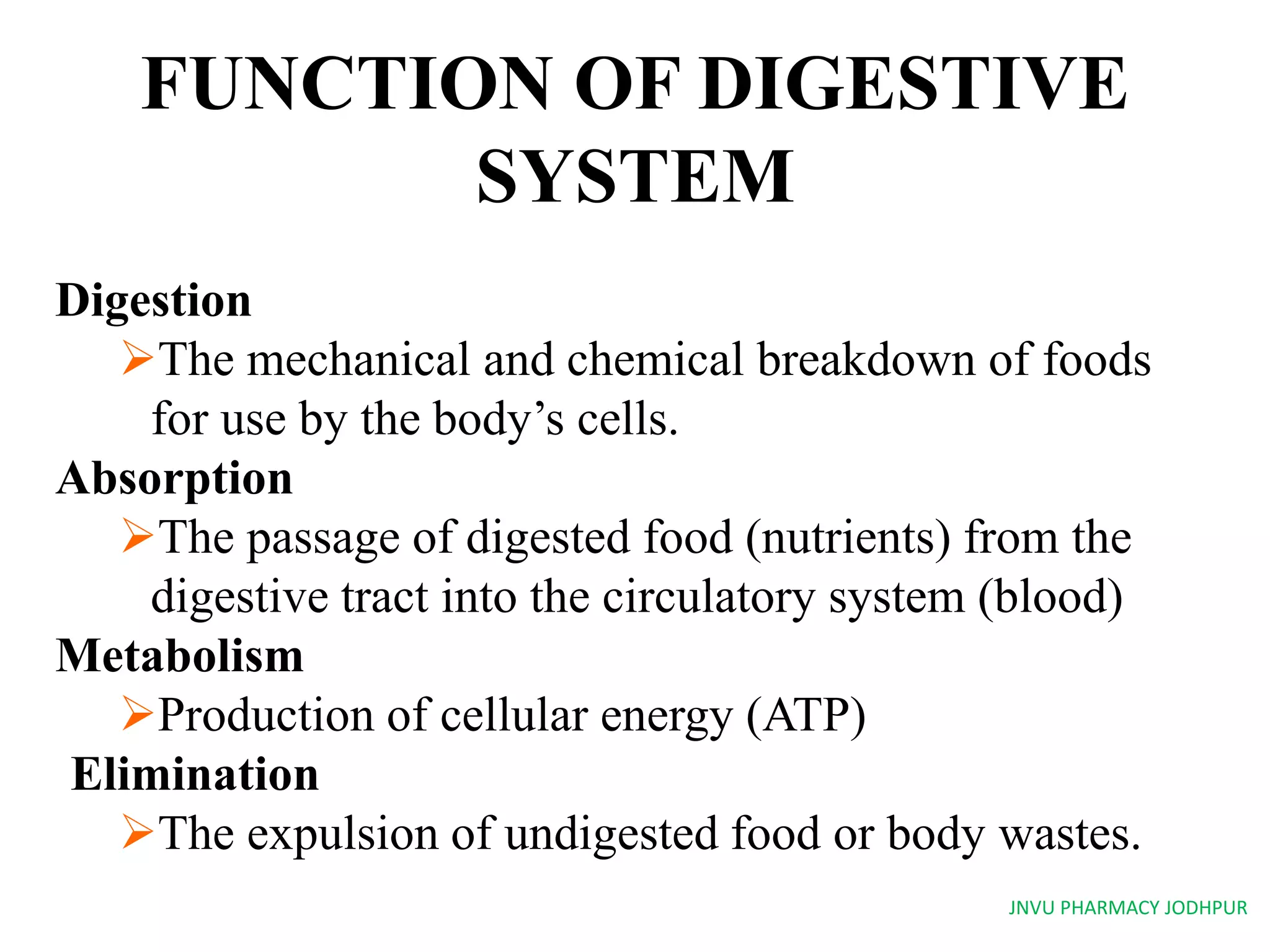 The digestive system ppt | PPTX