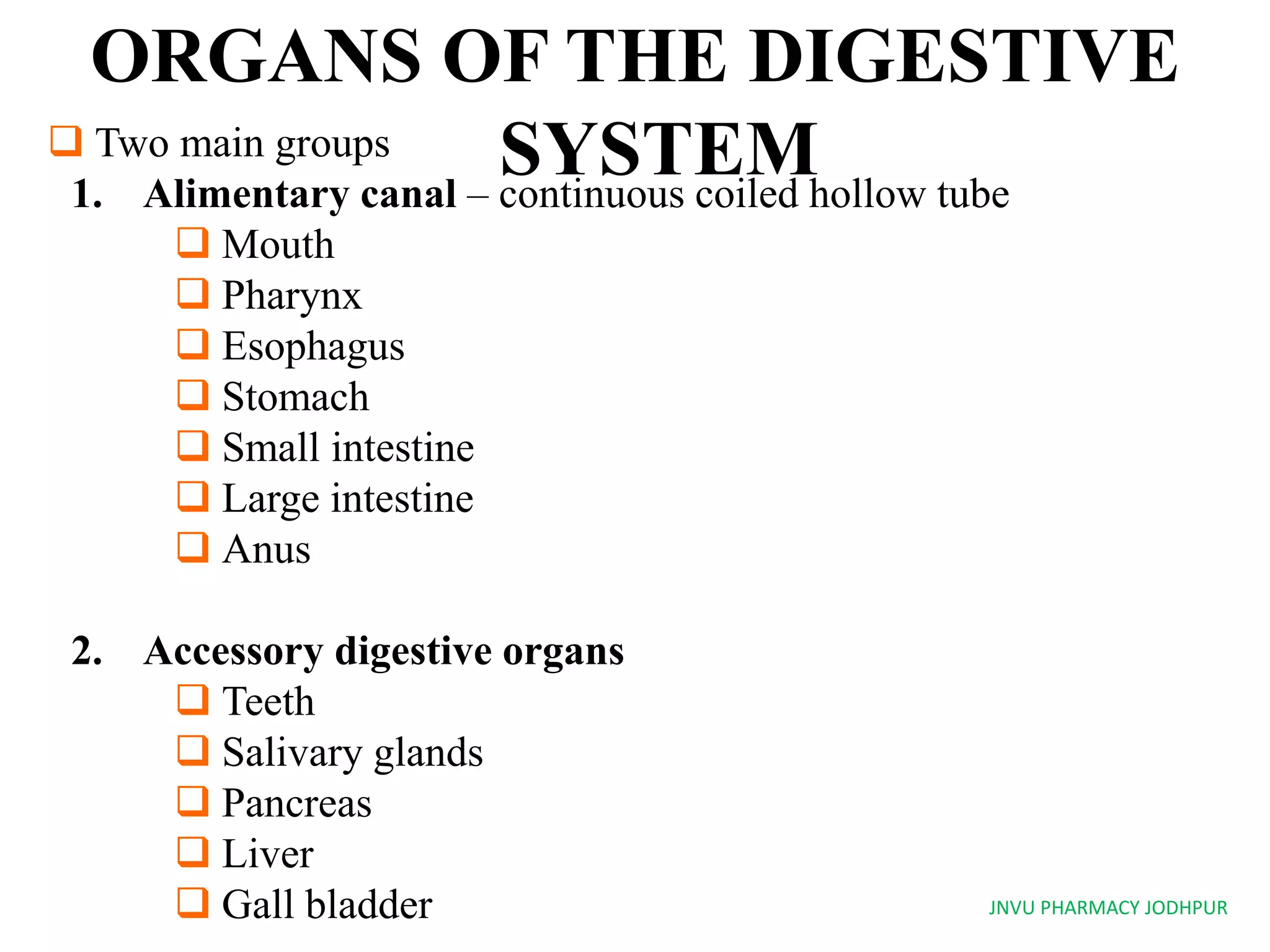 The digestive system ppt | PPTX