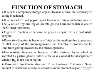 The digestive system ppt | PPTX