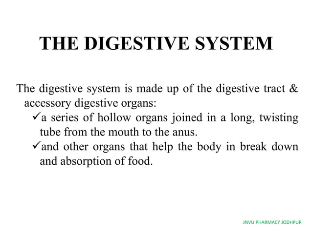The digestive system ppt | PPTX | Digestive Disorders | Diseases and Conditions