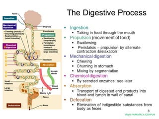 The digestive system ppt | PPTX