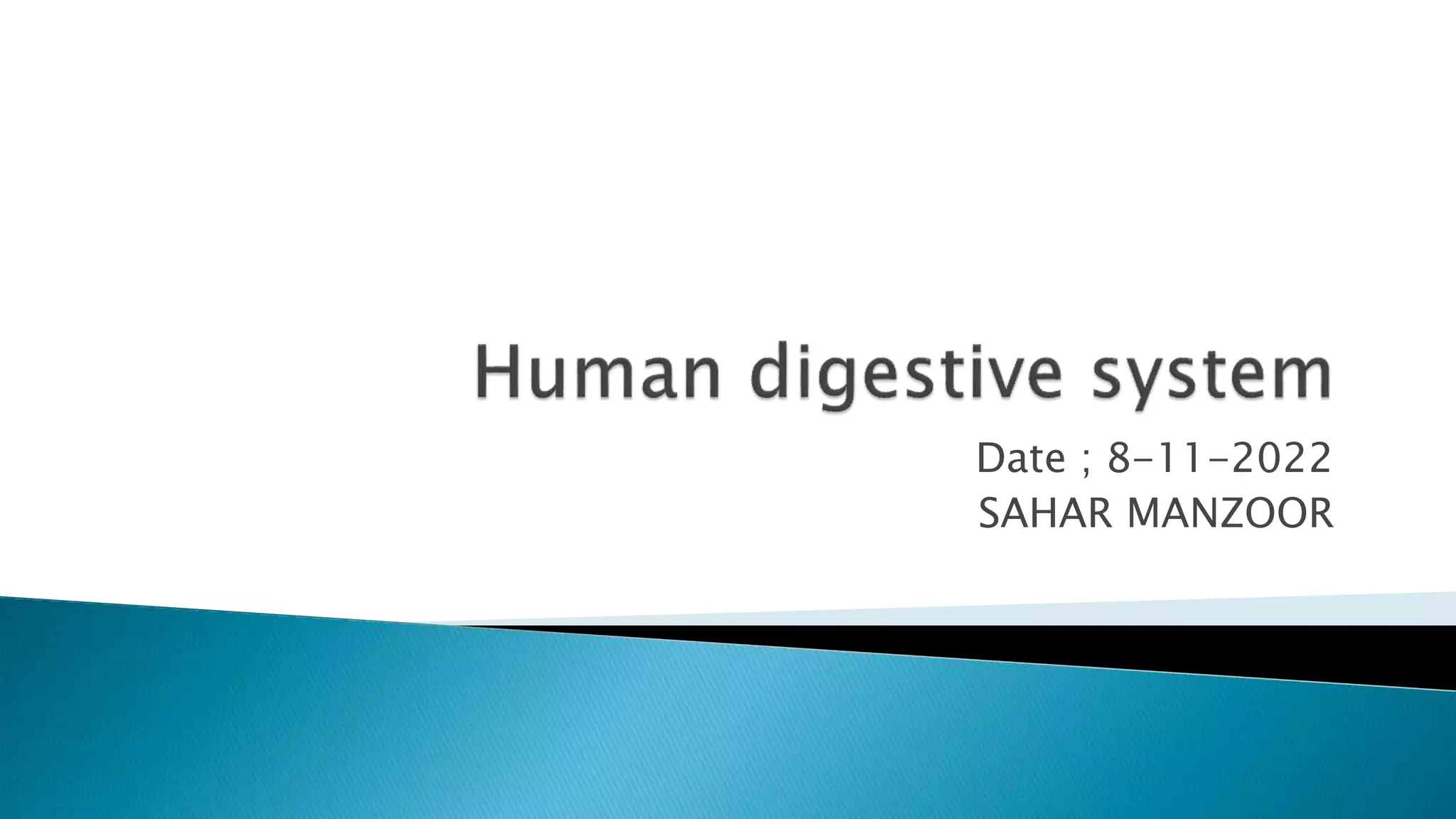 The digestive system ppt - Copy (2).pptx