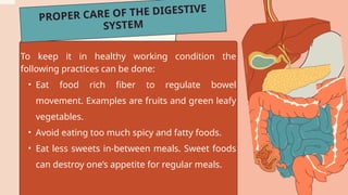 The Digestive System Science Educational Presentation in Dark Orange ...