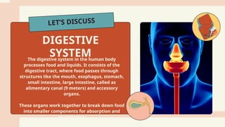 The Digestive System Science Educational Presentation in Dark Orange ...