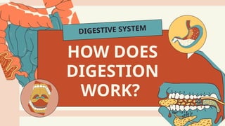 The Digestive System Science Educational Presentation in Dark Orange ...