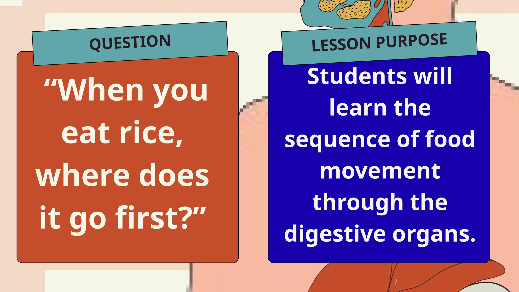 The Digestive System Science Educational Presentation in Dark Orange ...