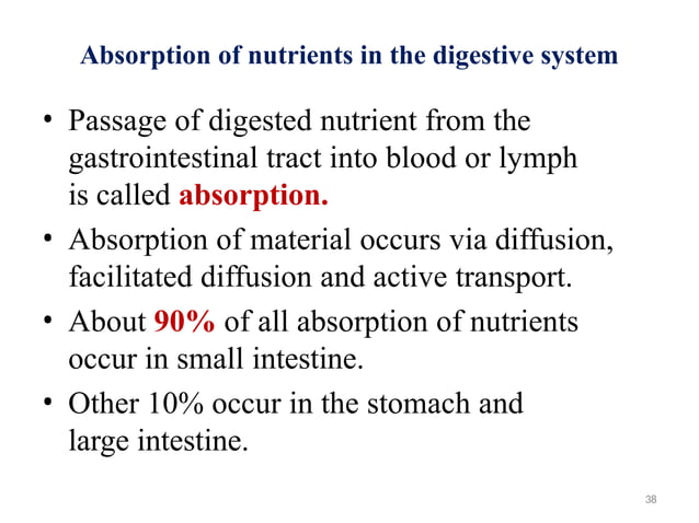 ANATOMY AND PHYSIOLOGY OF The Digestive System UNIT 10.pptx