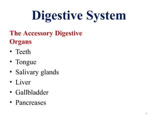 ANATOMY AND PHYSIOLOGY OF The Digestive System UNIT 10.pptx