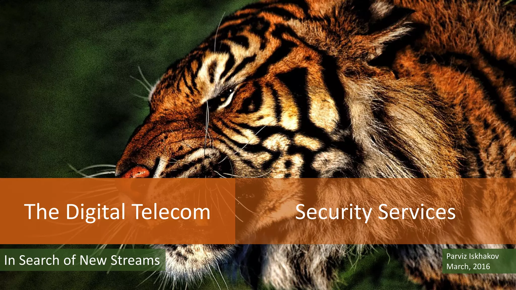 The Digital Telecom. Security Services | PPT