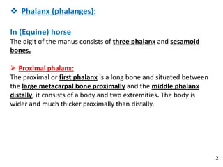 The digit of the manus.pdf