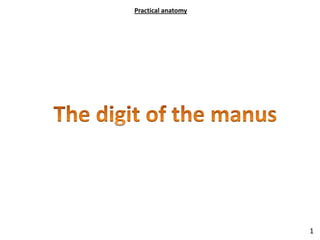 The digit of the manus.pdf
