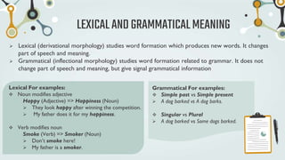 THE DIMENSIONS OF MEANING.pptx