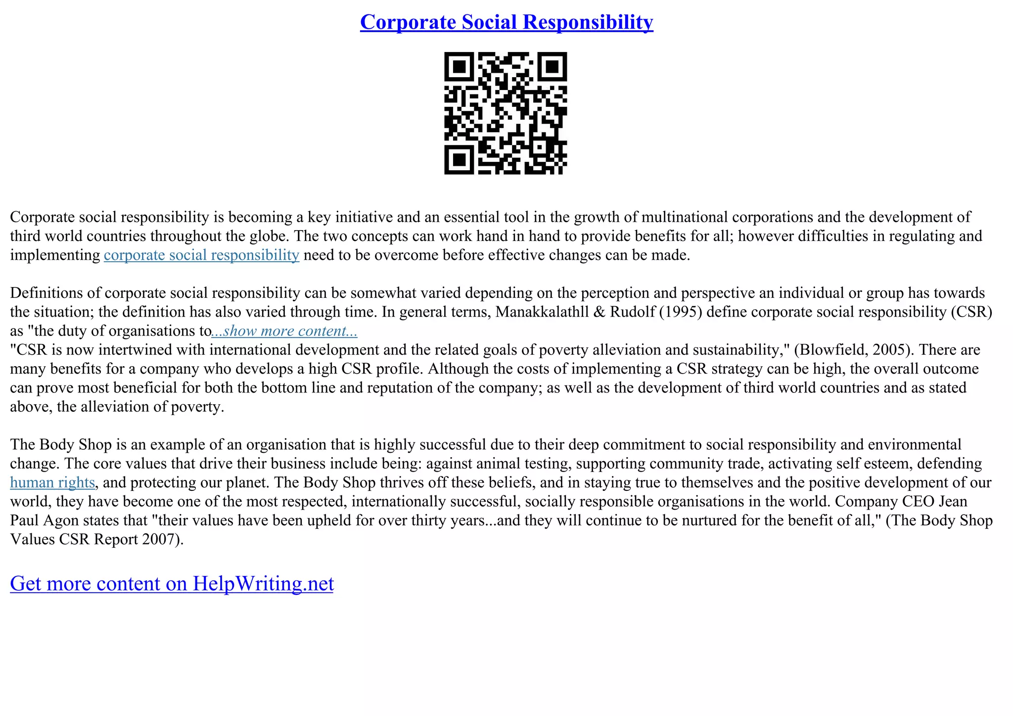The Dimensions Of Social Responsibility Essay | PPT