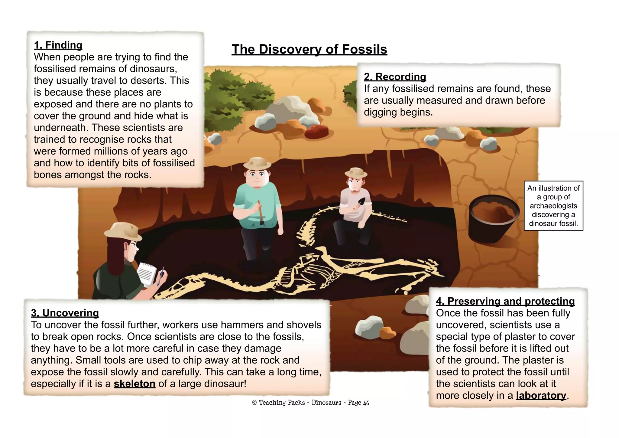 The Dinosaurs Pack | PDF