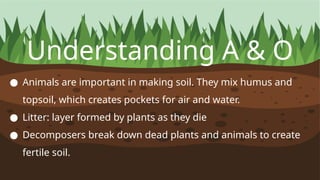 The Dirt on Soil - 7th and 8th Grade Soil Info | PPT