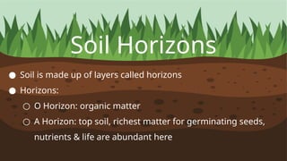 The Dirt on Soil - 7th and 8th Grade Soil Info | PPT