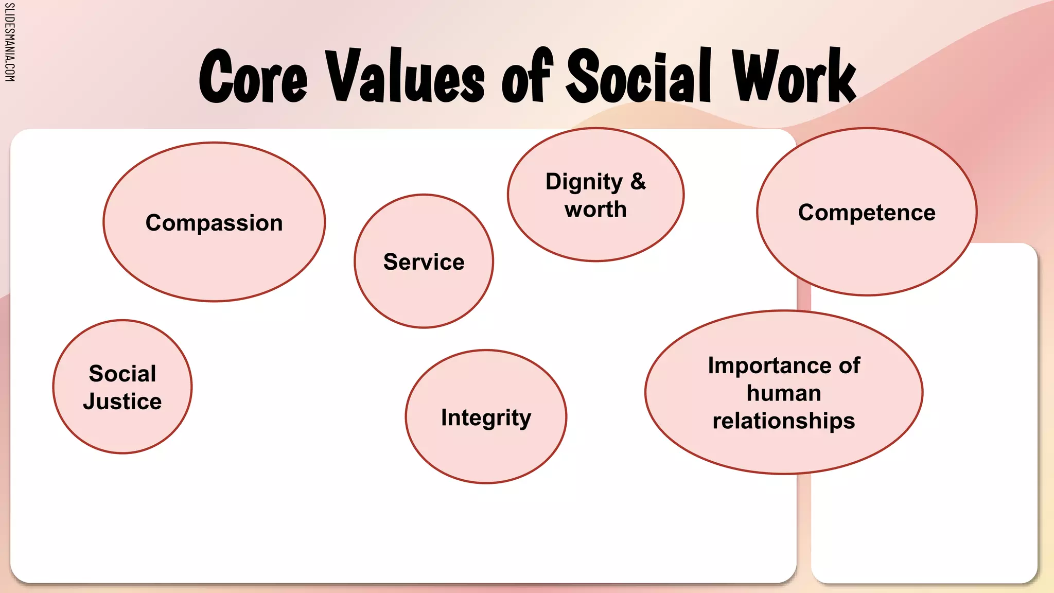 The Discipline of Social Work.pptx
