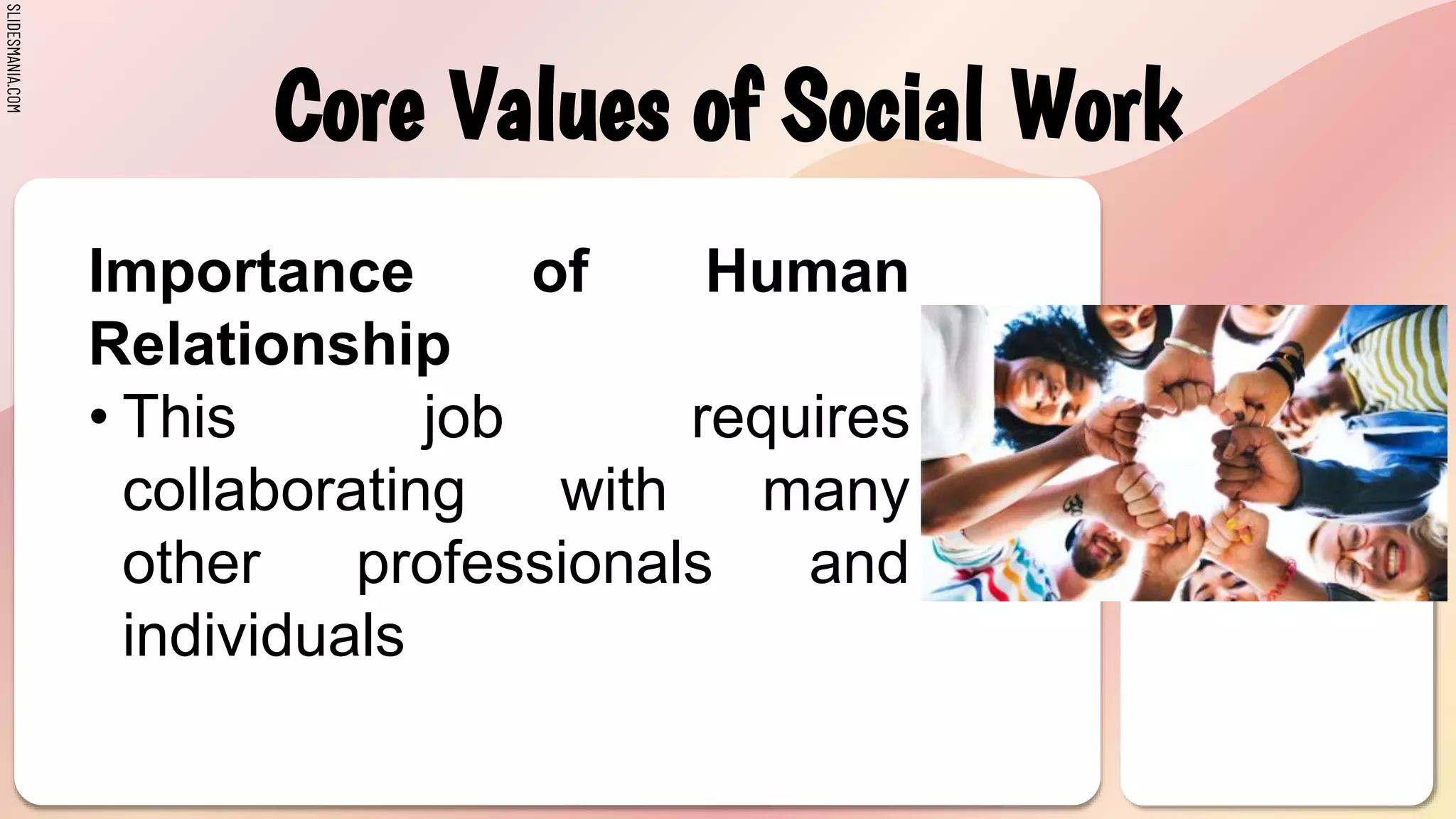 The Discipline of Social Work.pptx