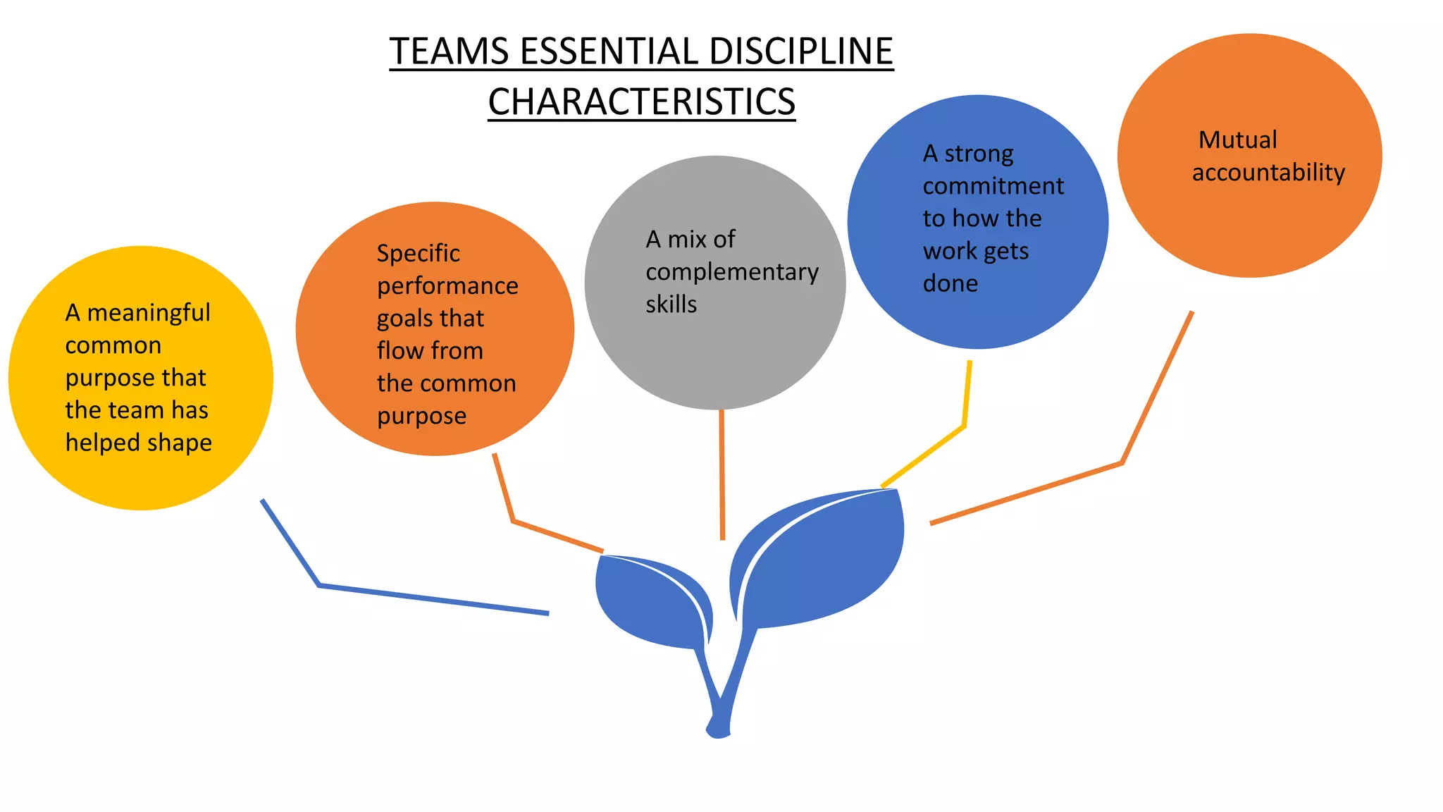The discipline of teams | PPTX