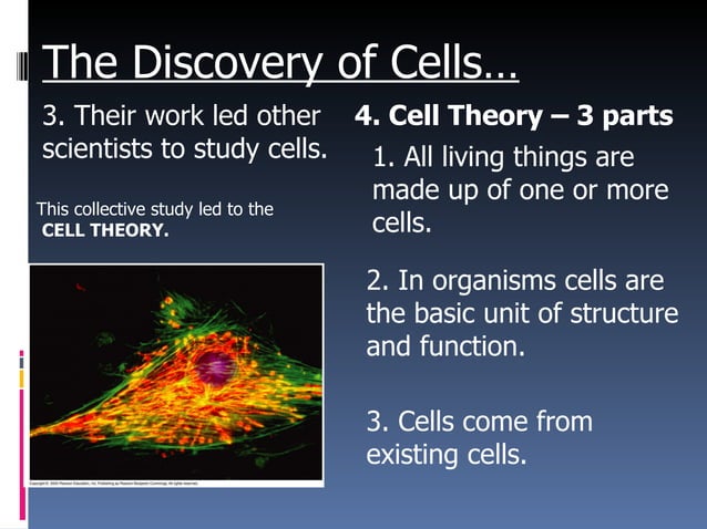 The discovery of cells notes | PPT | Biological Sciences | Science