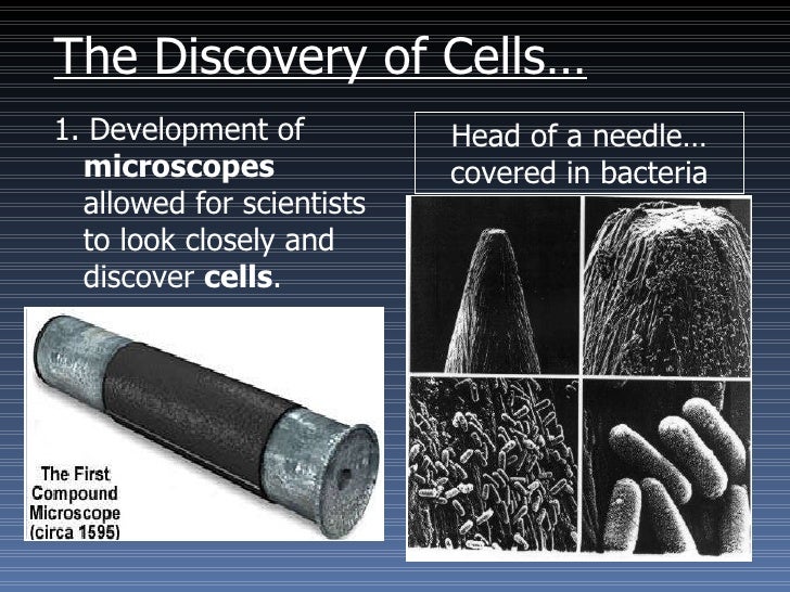 The discovery of cells notes