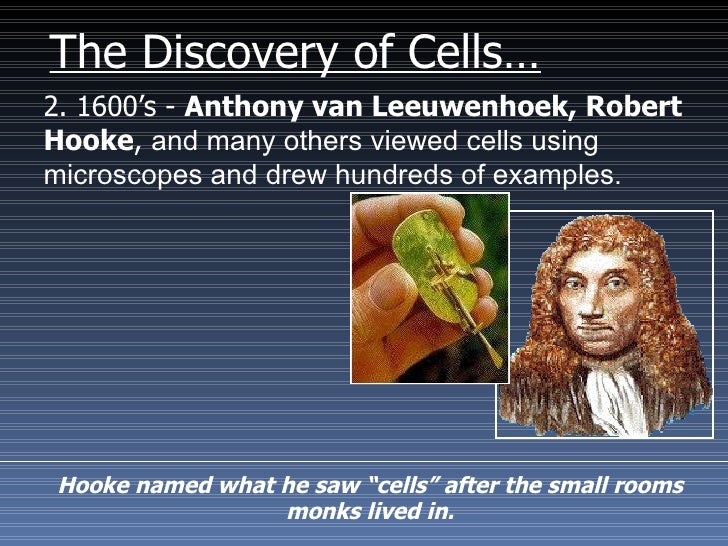 The discovery of cells notes