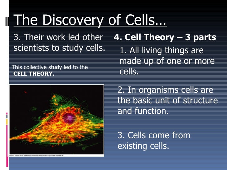 The discovery of cells notes