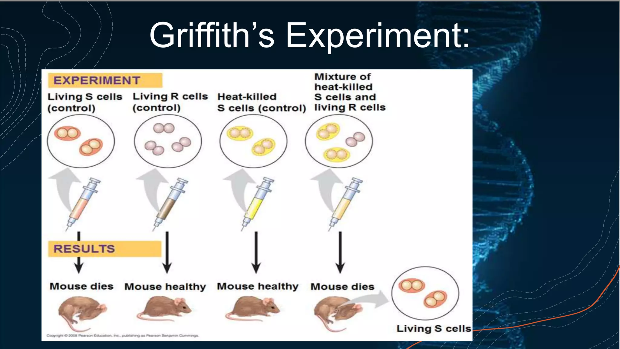 The Discovery of DNA | PPTX