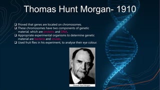 The Discovery of DNA | PPTX