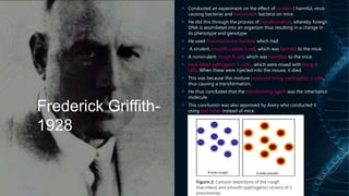 The Discovery of DNA | PPTX