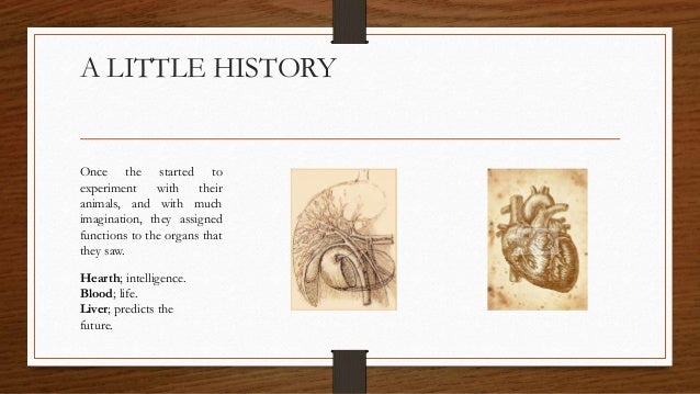 New Anatomy Discoveries