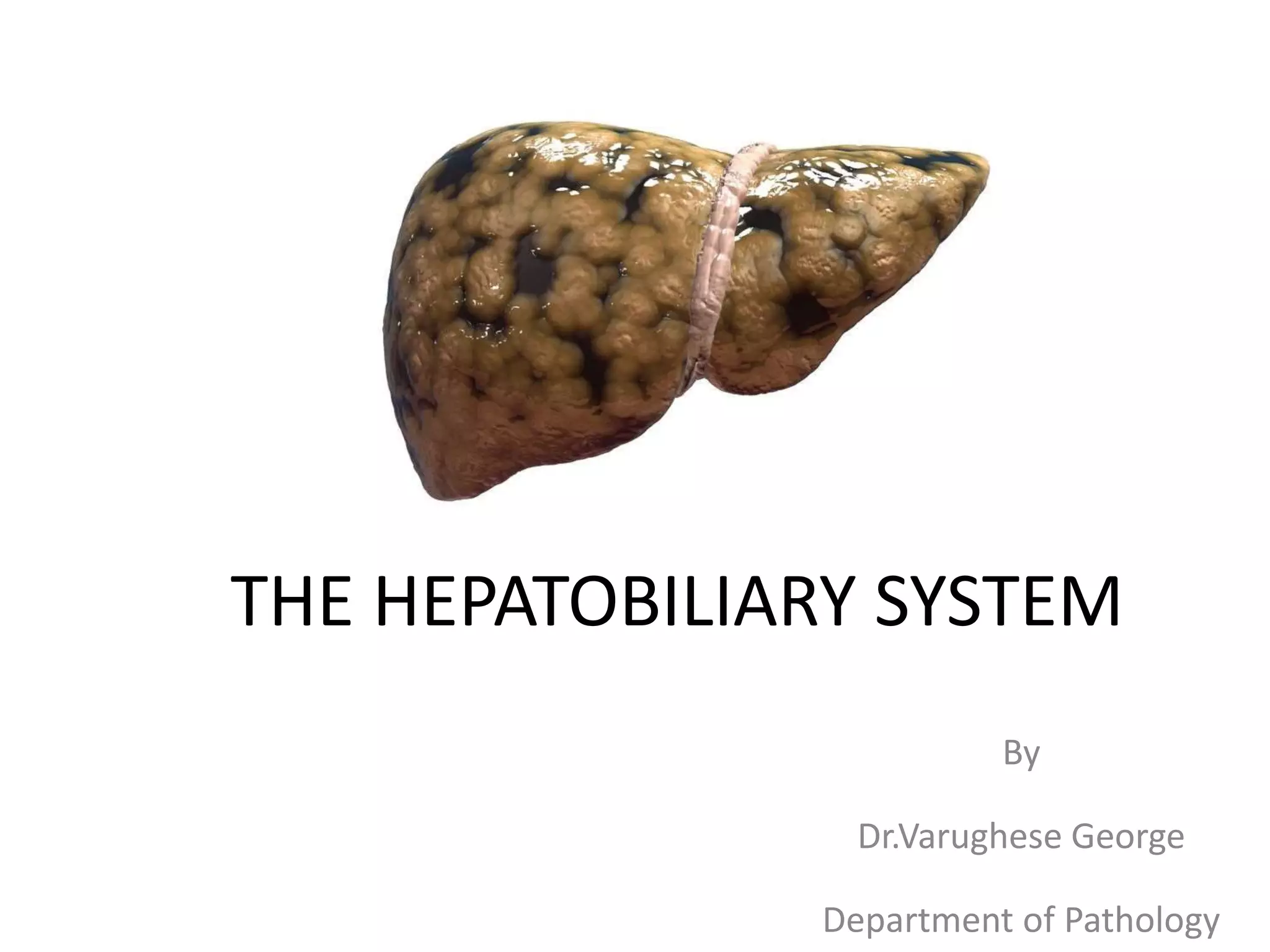 The diseases of the hepatobiliary system | PPTX