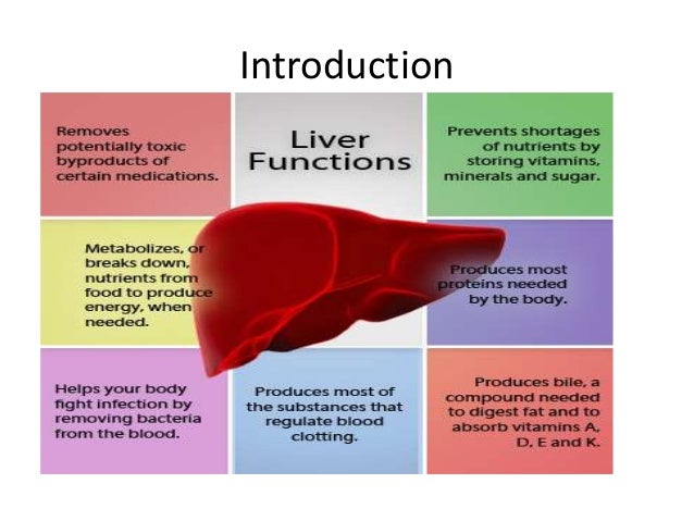 The diseases of the hepatobiliary system